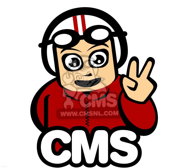 Honda CR80R 1999 HE04-250 JAPAN (JDM) F-16 - F-16 スペアをオンラインで購入