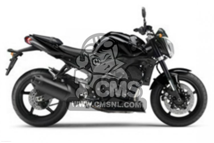 Yamaha Yamaha FZ1-NA 2011 22CD EUROPE FAZER 1K22C-300E1 parts lists and ...