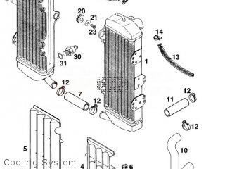 RADIATOR PROTECT. L/S WHITE'96 for 640 DUKE II LIMITED ED Europe 2006 ...