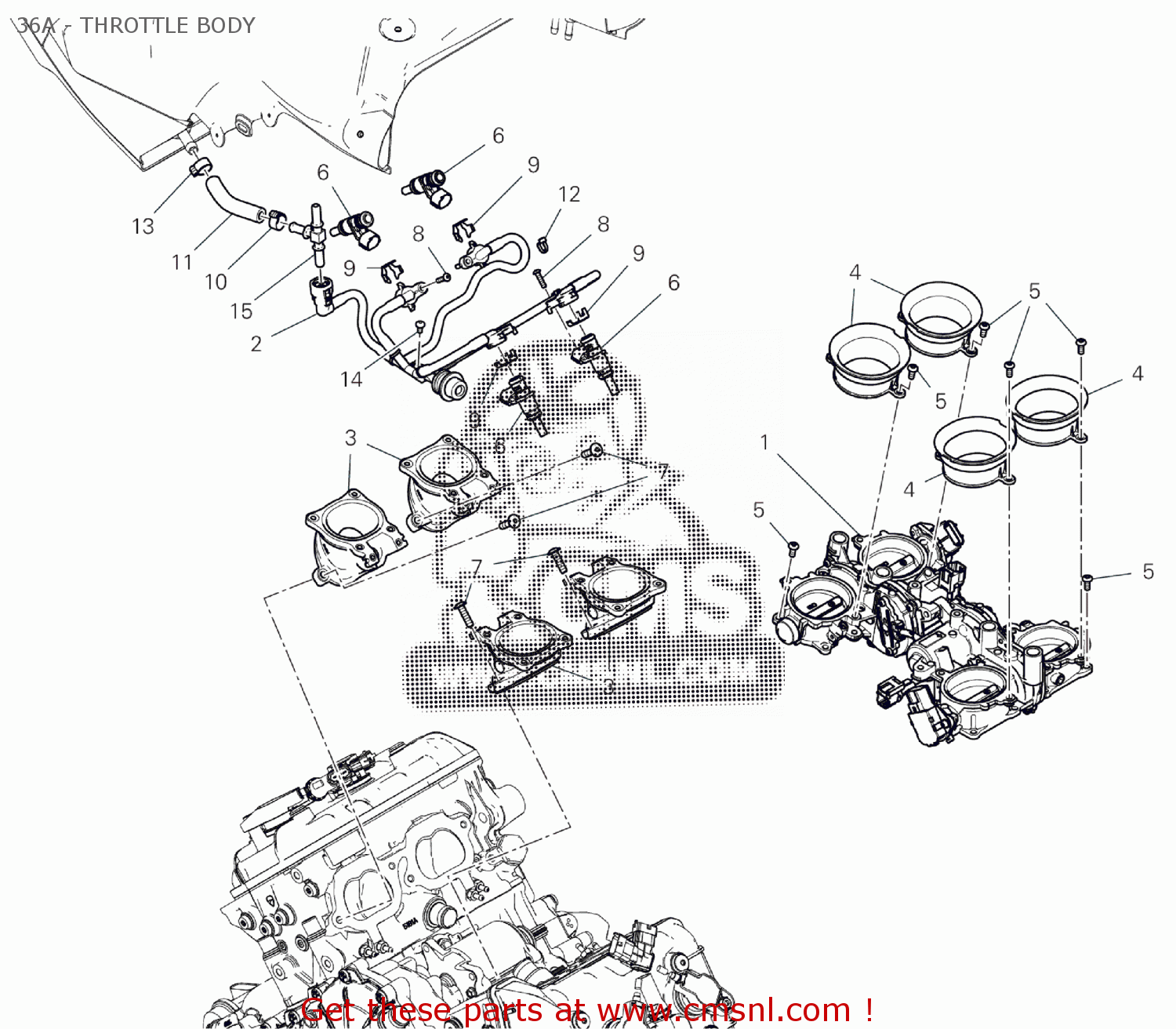 Ducati SBKV4S PANIGALE 2018 EU (SUPERBIKE PANIGALE V4S) 36A - THROTTLE ...