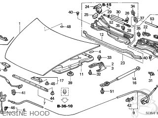 60100SDPA90ZZ: Hood Comp(dot) Honda - buy the 60100-SDP-A90ZZ at CMSNL