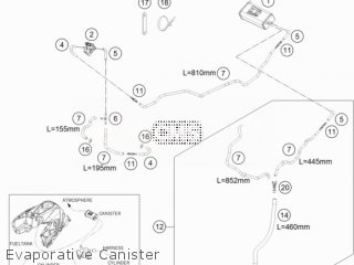 EVAP VALVE for 790 Adventure R ASEAN 2020 - order at CMSNL