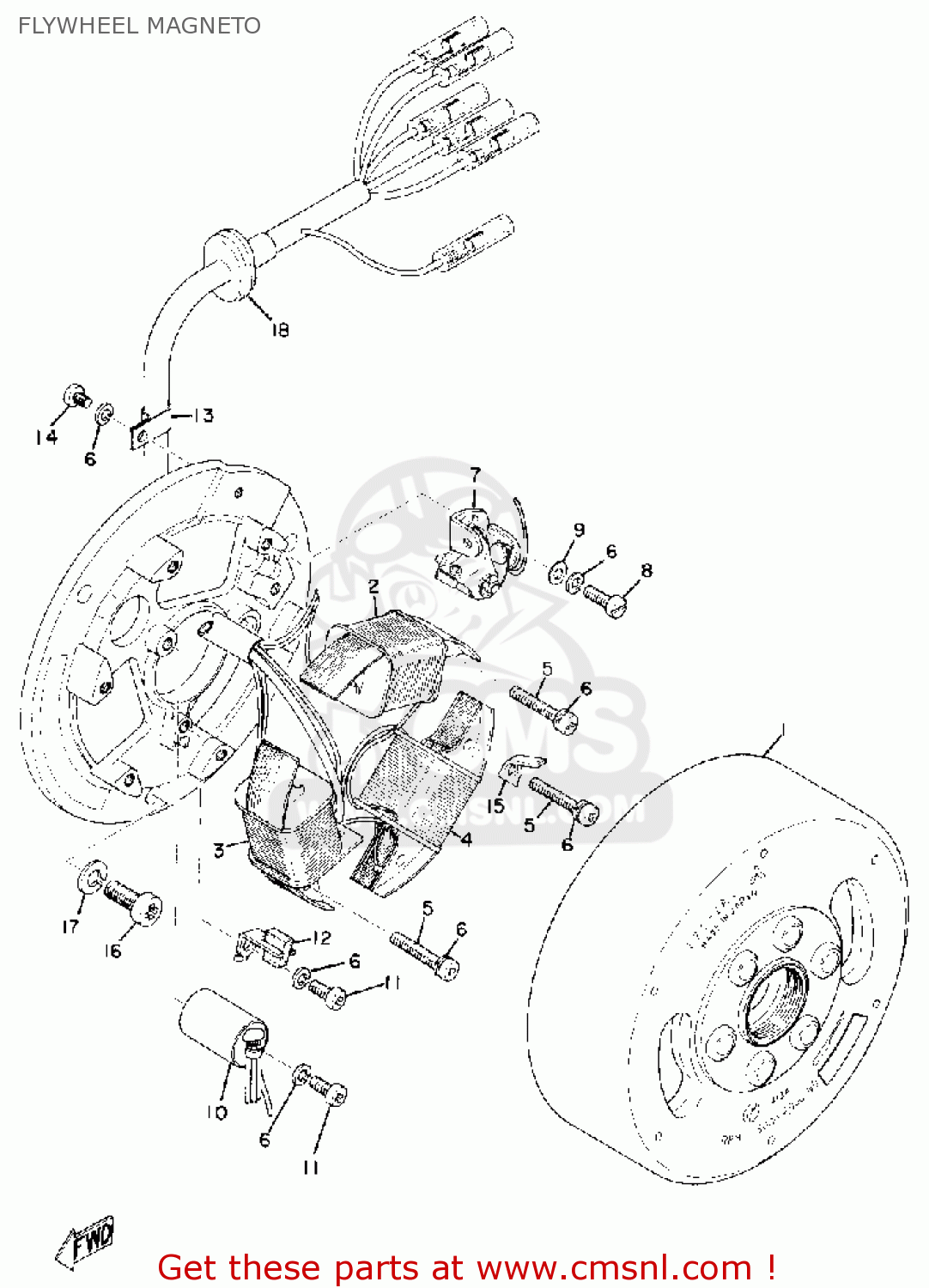 FLYWHEEL MAGNETO ASSEMBLY for DT1B 1969 USA - order at CMSNL