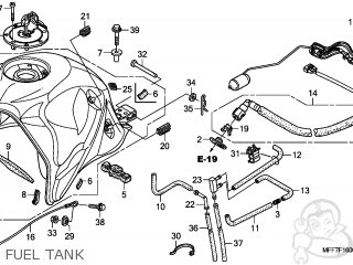 17570MFFD00: Hose Comp,fuel Fe Honda - buy the 17570-MFF-D00 at CMSNL