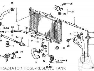 Honda ELEMENT 2003 (3) 5DR EX 4WD (KA) parts lists and schematics
