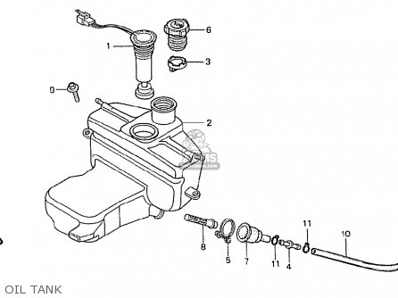 Honda NCZ50 MOTOCOMPO 1981 (B) BELGIUM GERMANY parts lists and schematics