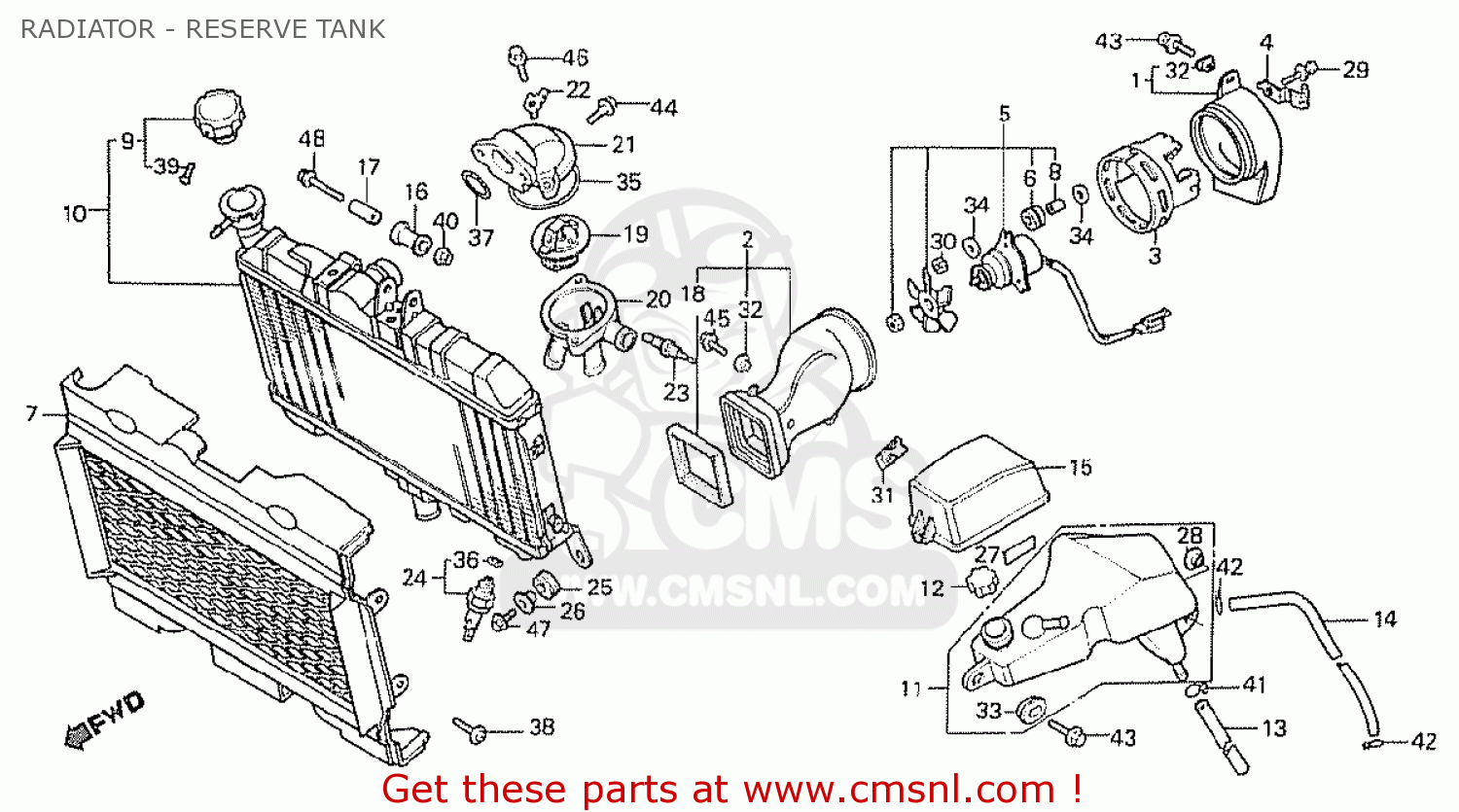 Honda NS400R 1985 (F) GERMANY RADIATOR - RESERVE TANK - buy RADIATOR ...