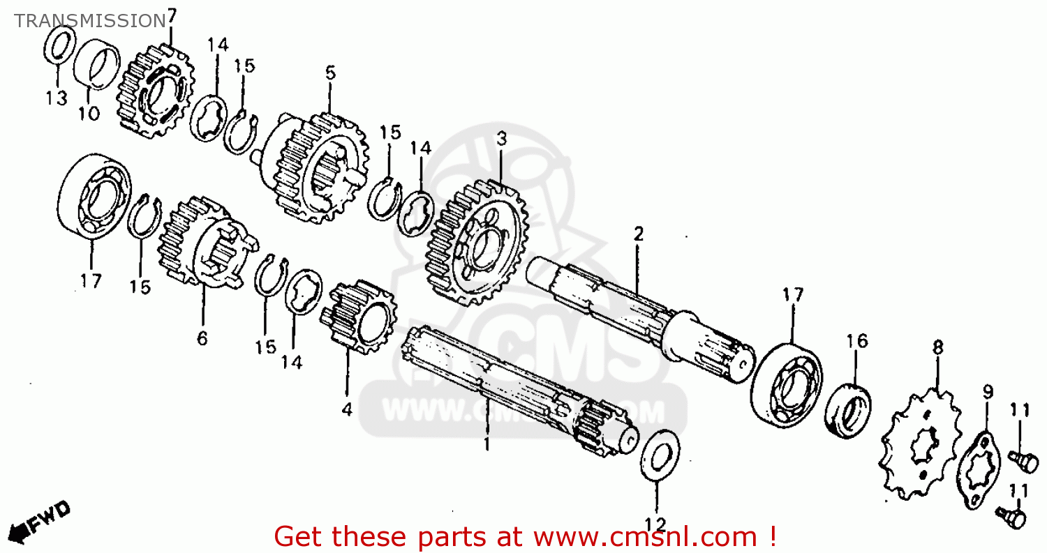 Honda Z50R 1984 (E) USA parts lists and schematics