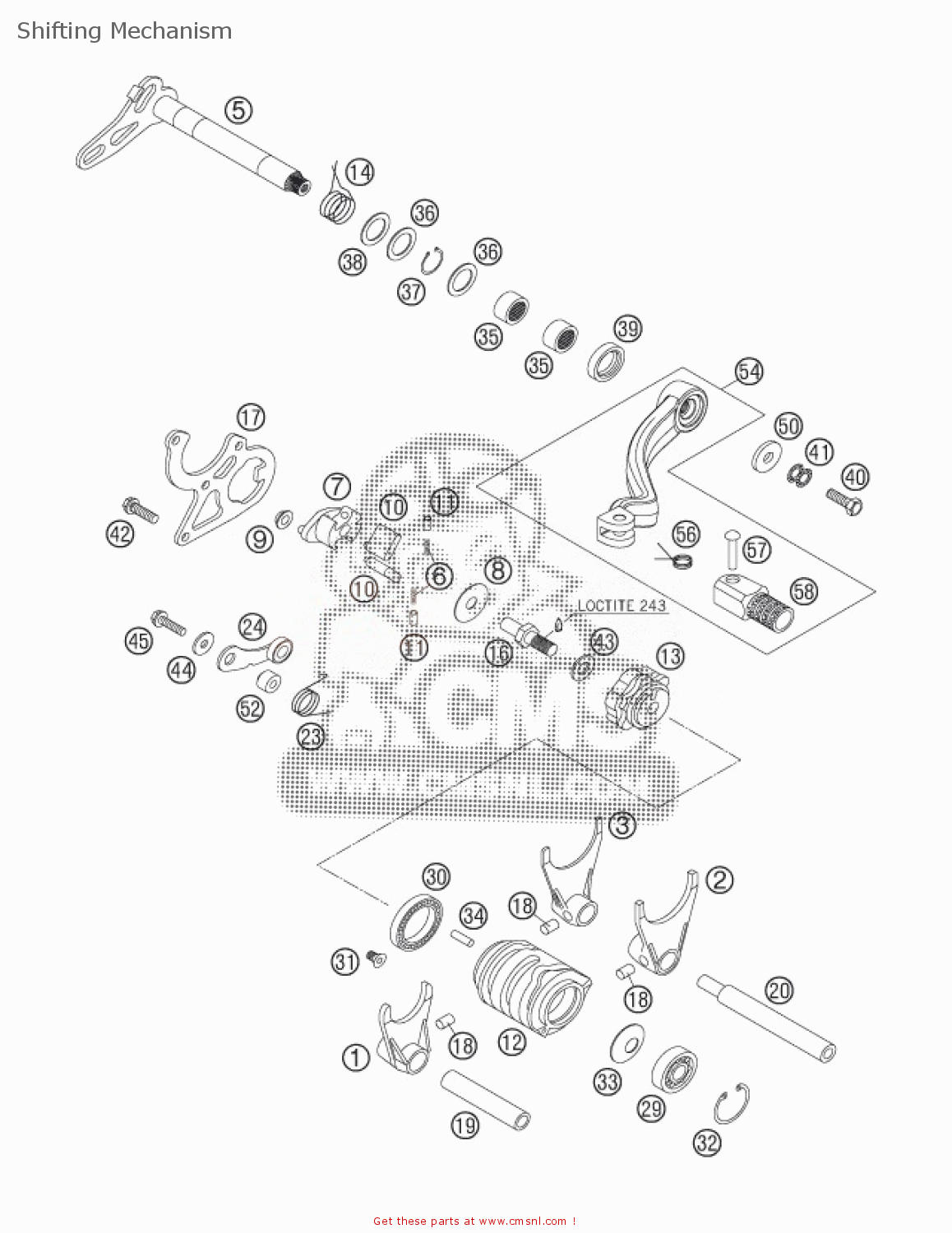 NEEDLE ROLLER ZRB 6X10 for 125 EXC SIX-DAYS Europe 2008 - order at CMSNL