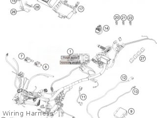 ROLLOVER SENSOR for 390 Duke, orange, Europe 2018 - order at CMSNL