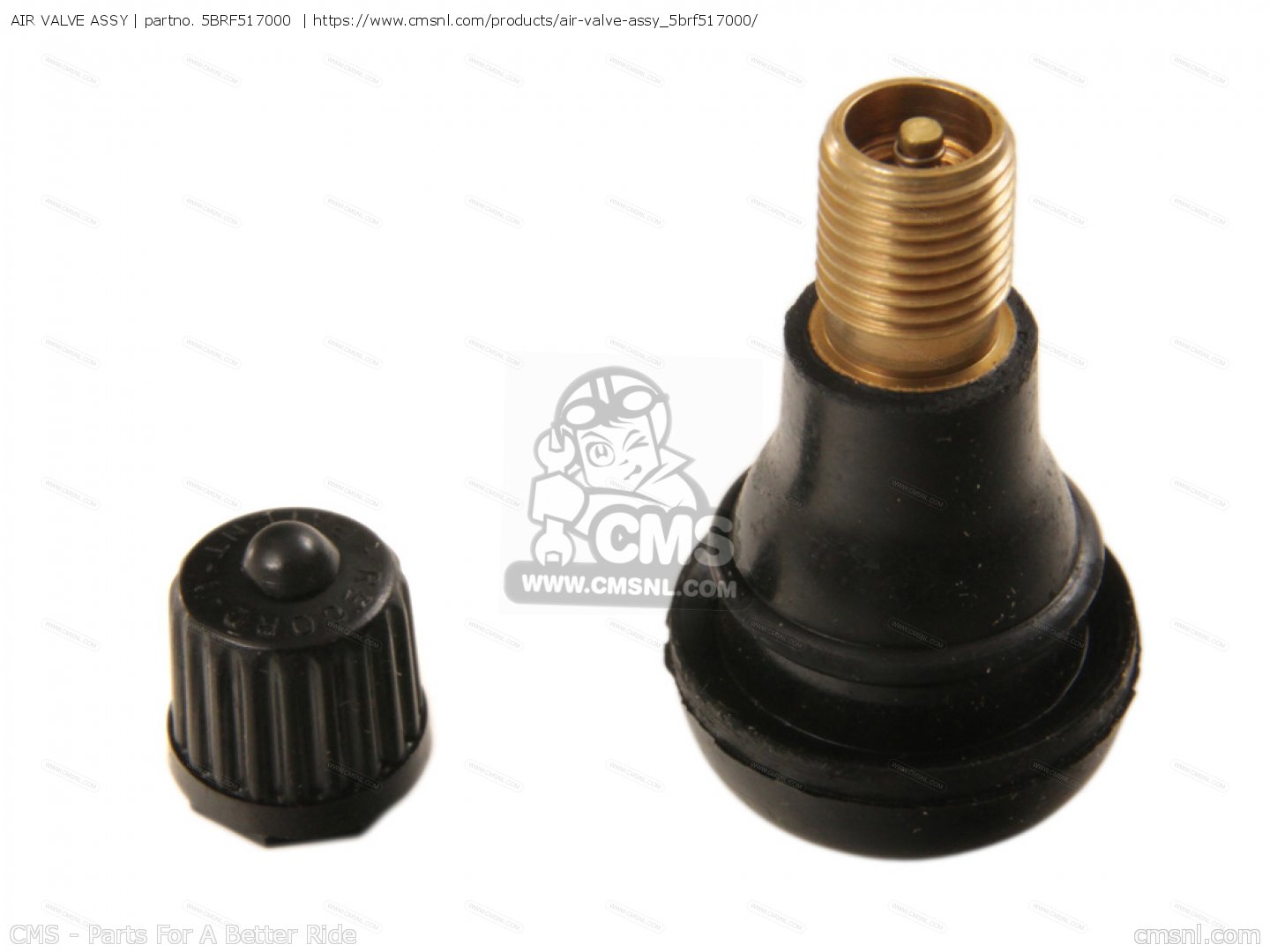 AIR VALVE ASSY for Yamaha - order at CMSNL