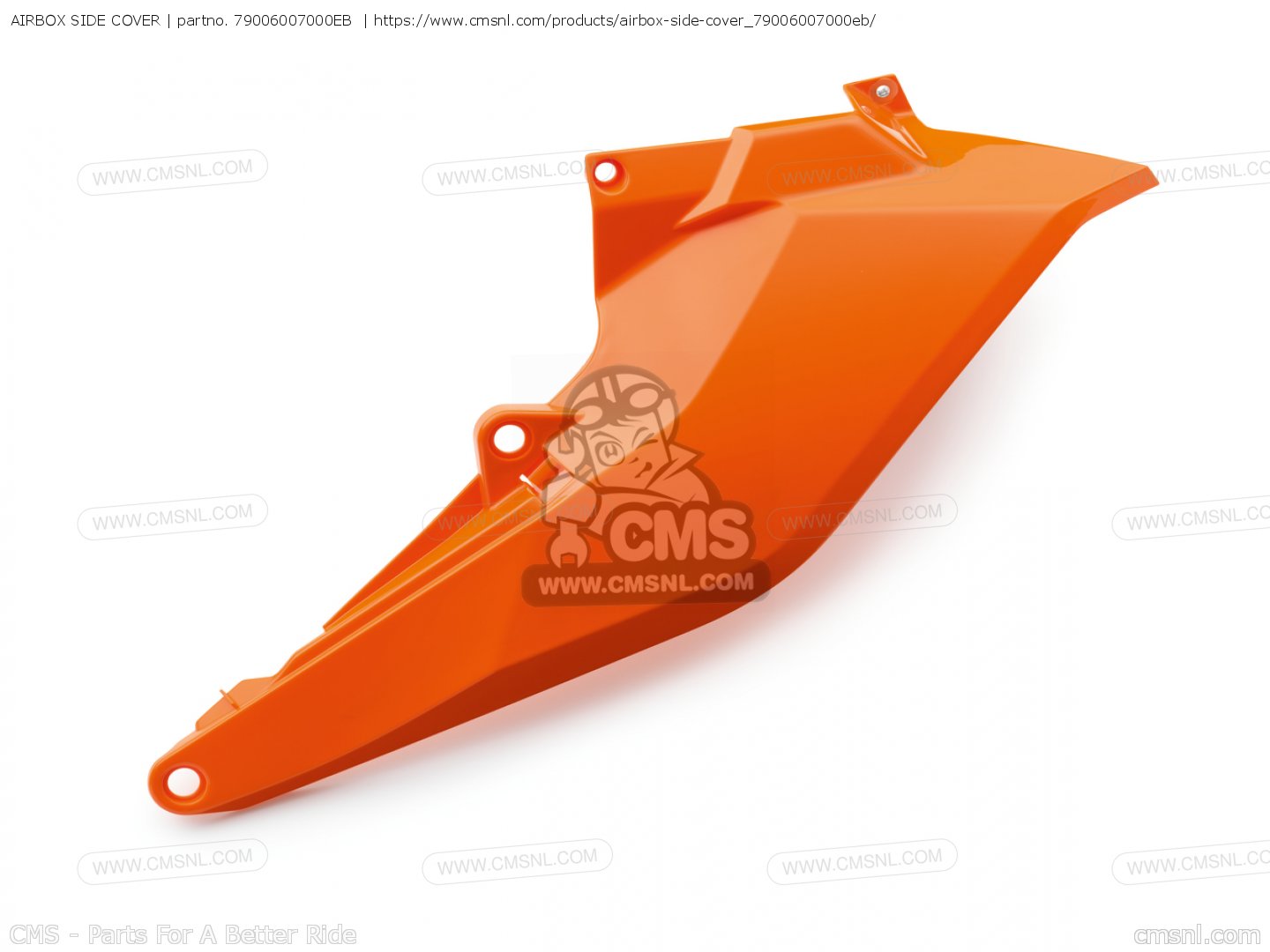 AIRBOX SIDE COVER for 300 EXC CKD Brazil 2019 - order at CMSNL