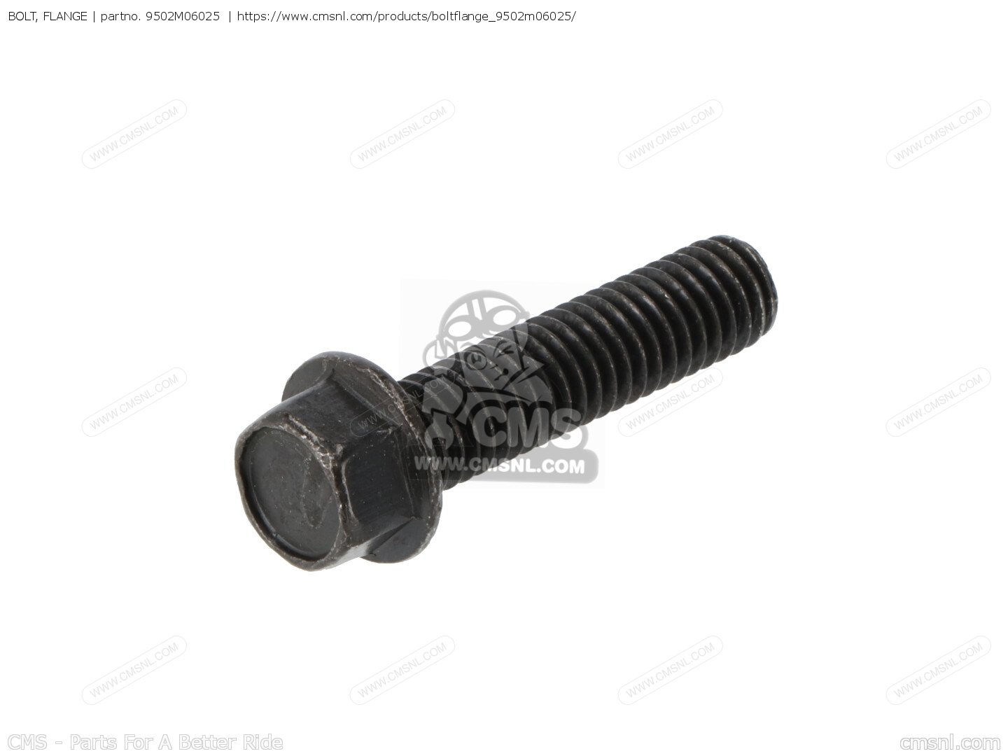 9502M06025: BOLT, FLANGE Yamaha - koop de 9502M-06025-00 bij CMSNL