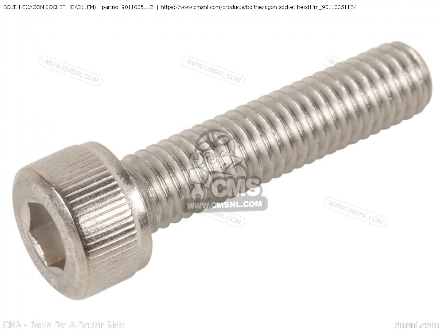 BOLT, HEXAGON SOCKET HEAD(1FM) for Yamaha - order at CMSNL