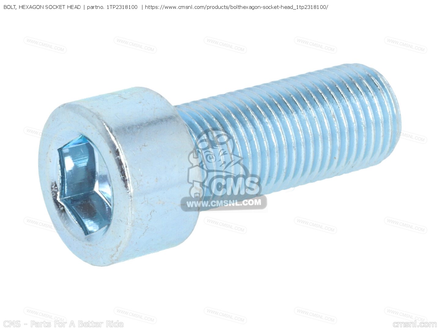 1TP2318100: BOLT, HEXAGON SOCKET HEAD Yamaha - buy the 1TP-23181-00-00 ...