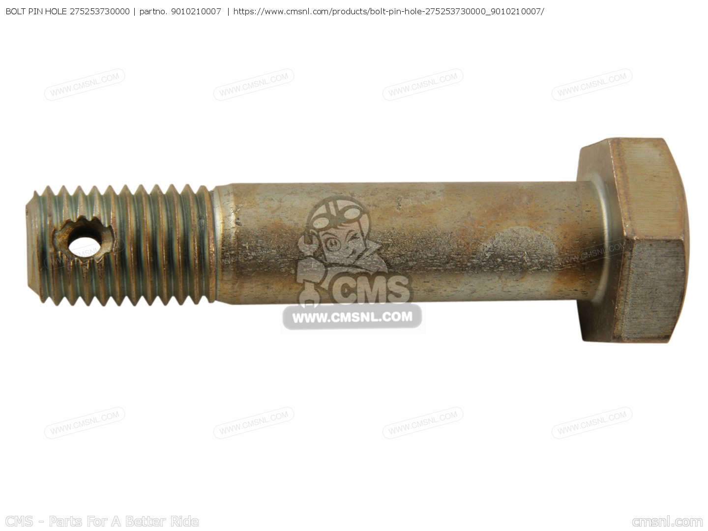 BOLT PIN HOLE 275253730000 for RT2 1972 USA - order at CMSNL