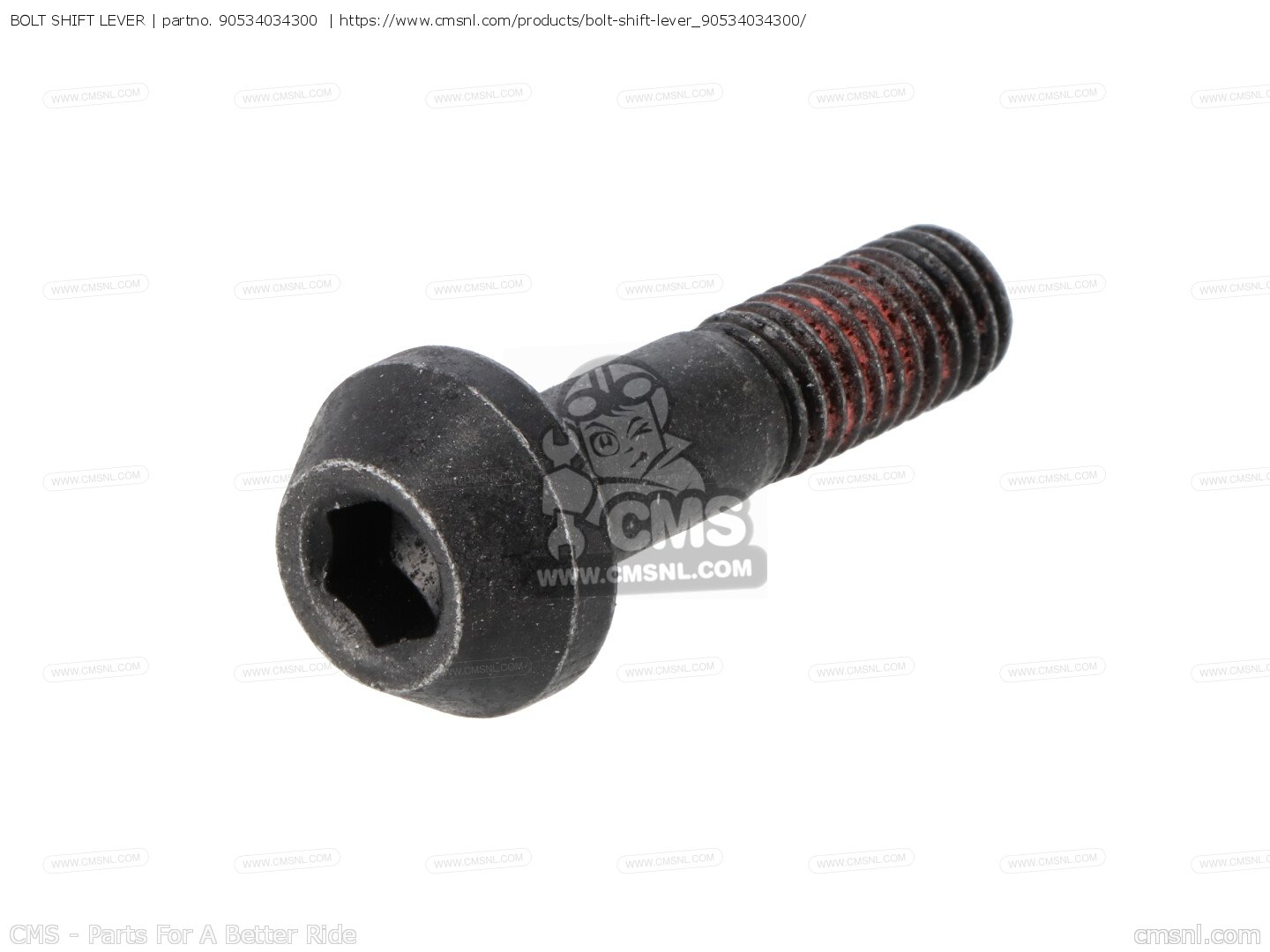 BOLT SHIFT LEVER for KTM - order at CMSNL