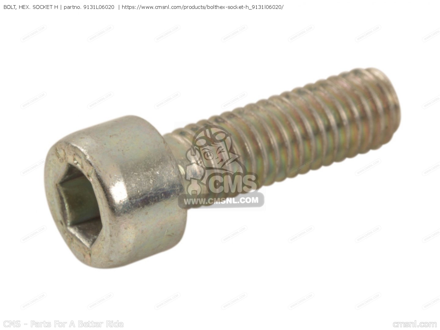 BOLT, HEX. SOCKET H for TT600RE 2004 5CH5 HOLLAND 1C5CH-300E2 - order ...