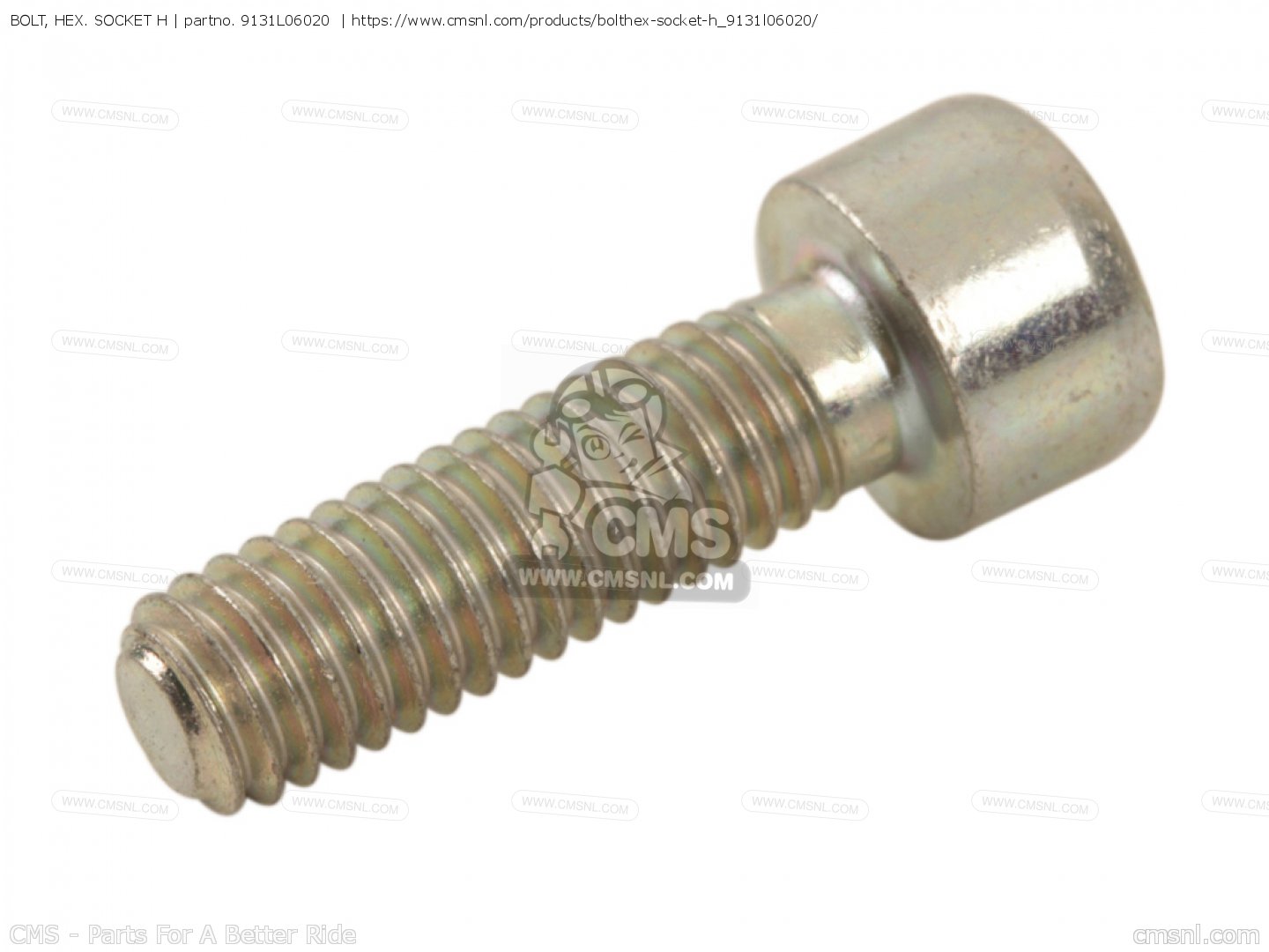 BOLT, HEX. SOCKET H for TT600RE 2004 5CH5 HOLLAND 1C5CH-300E2 - order ...