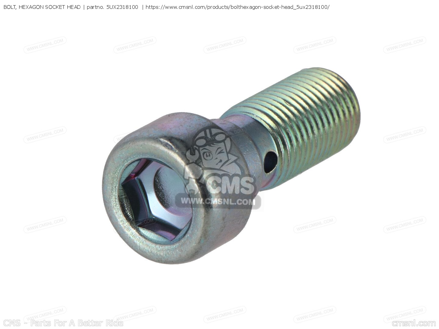 5UX2318100: Bolt, Hexagon Socket Head Yamaha - buy the 5UX-23181-00 at ...