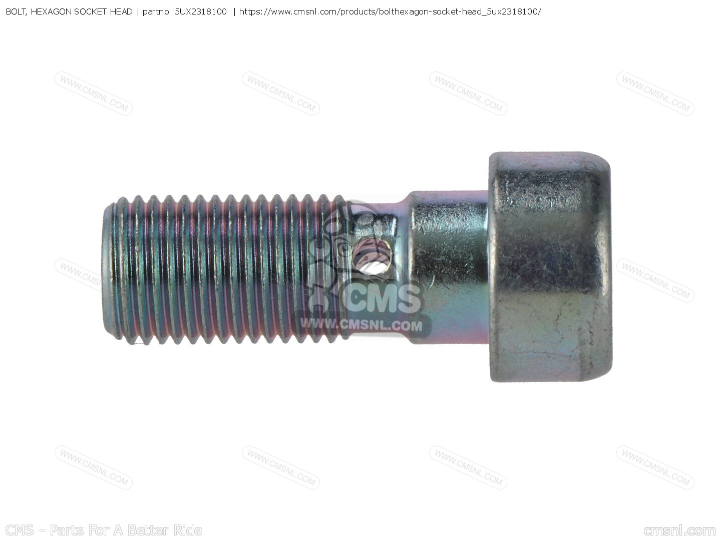 5UX2318100: Bolt, Hexagon Socket Head Yamaha - buy the 5UX-23181-00 at ...