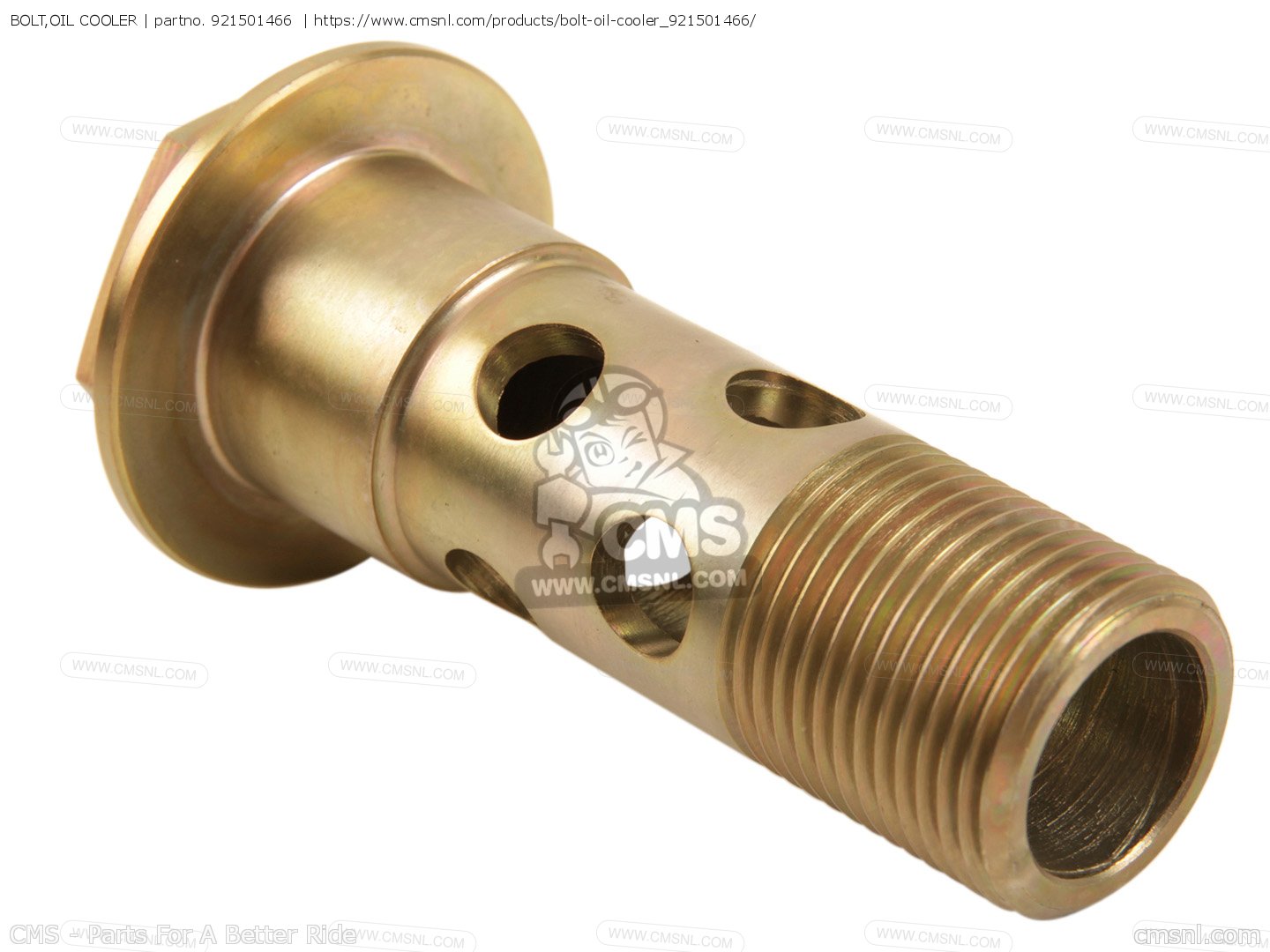 921501466: BOLT,OIL COOLER Kawasaki - buy the 92150-1466 at CMSNL