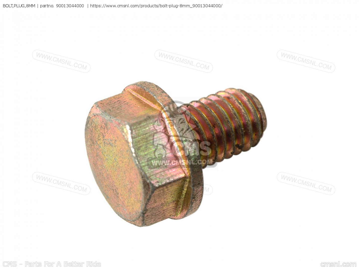BOLT,PLUG,8MM for P50 - order at CMSNL