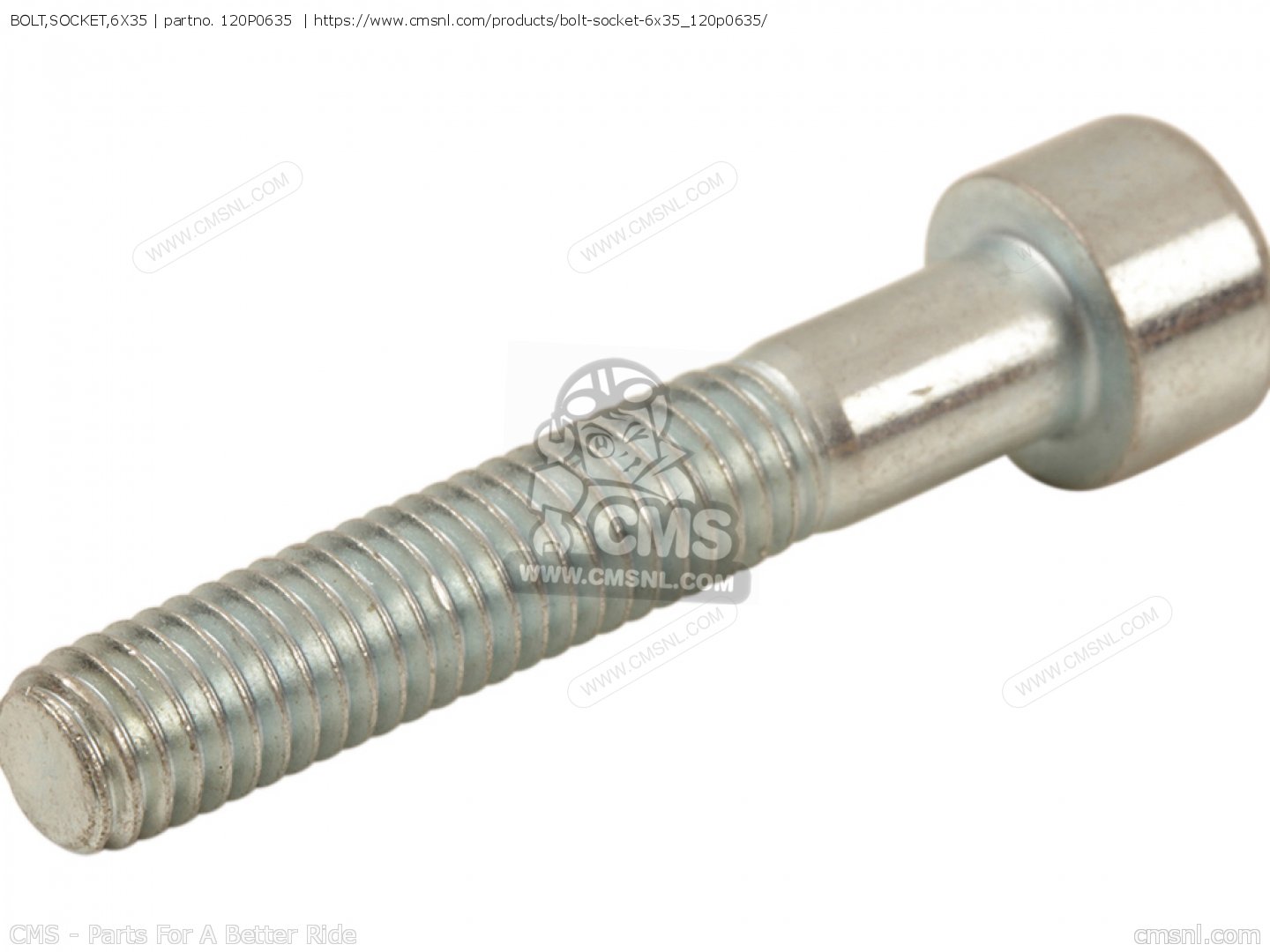BOLT,SOCKET,6X35 for KZ1000P1 POLICE 1000 1982 USA - order at CMSNL