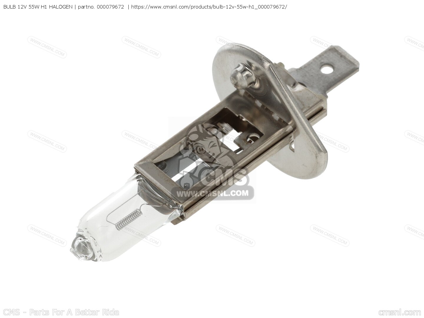 BULB 12V 55W H1 HALOGEN for M1200 2018 (MONSTER 1200 DMH) D190-00018 ...