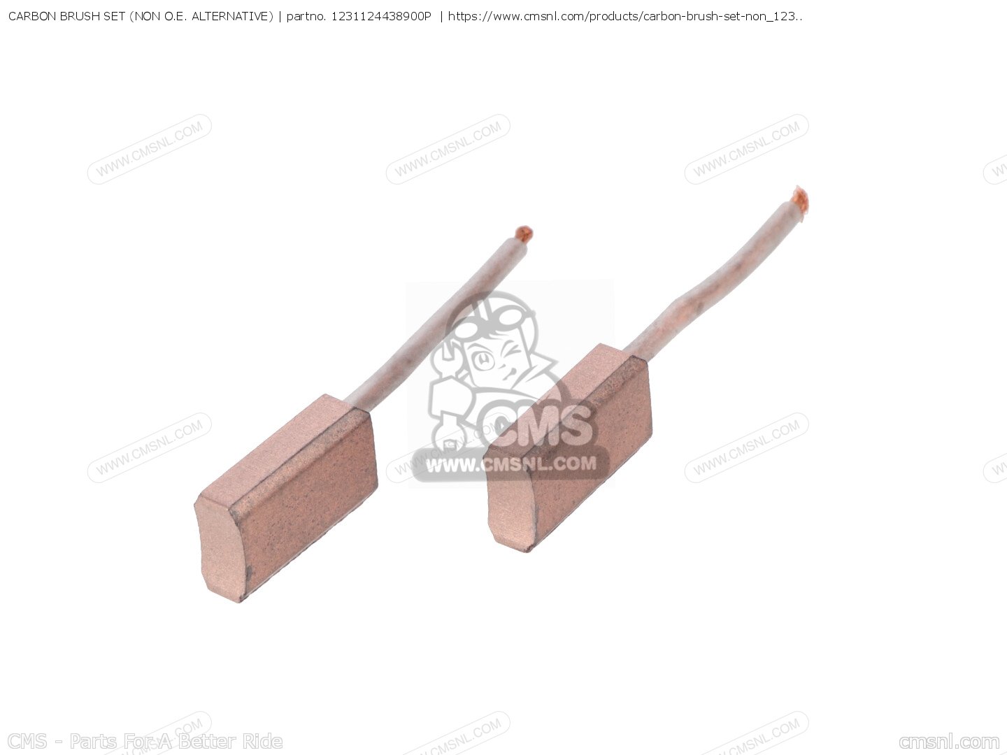 1231124438900P: Carbon Brush Set (non O.e. Alternative) Alternative ...