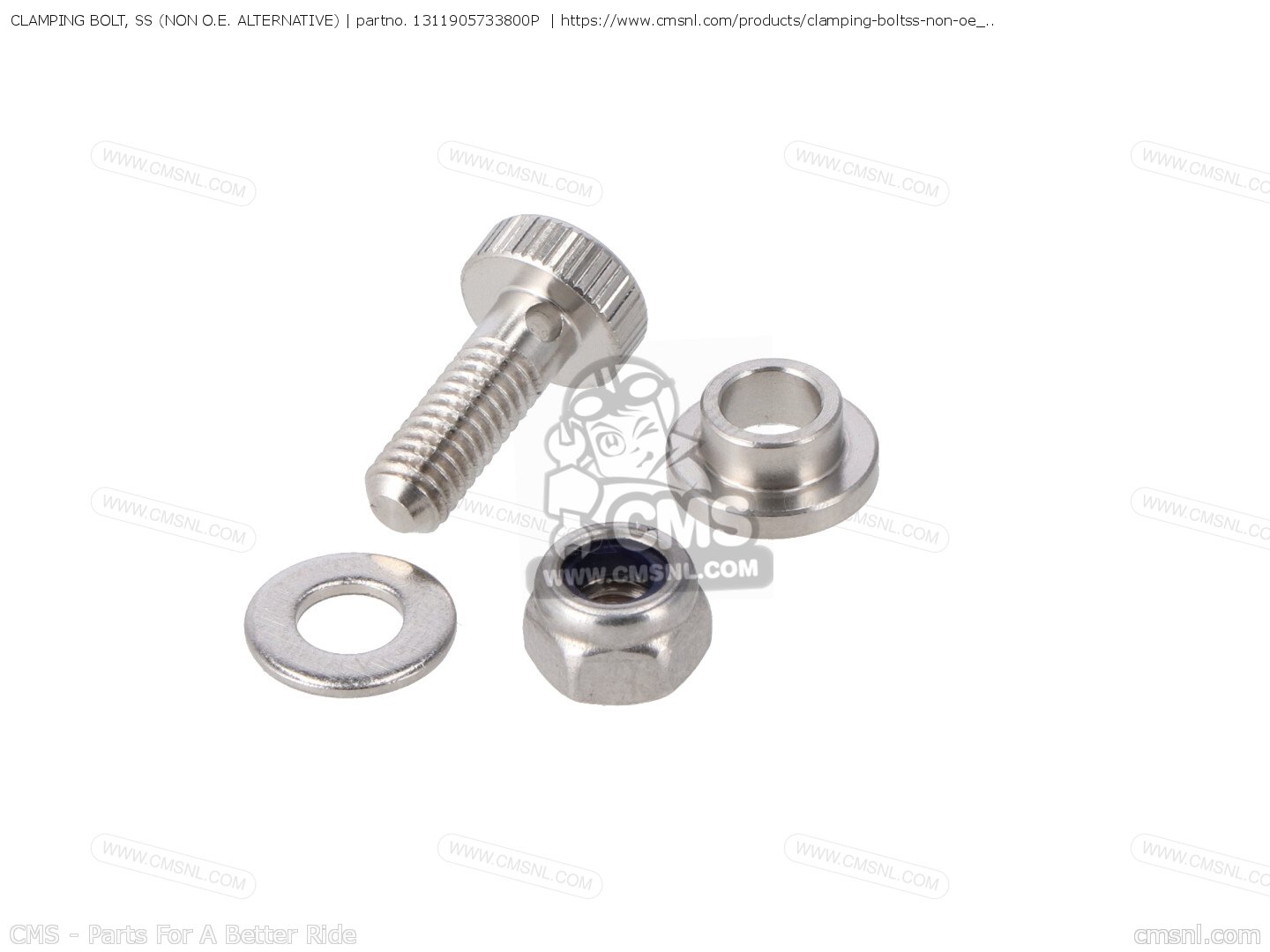 1311905733800P: Clamping Bolt, Ss (non O.e. Alternative) Alternative ...