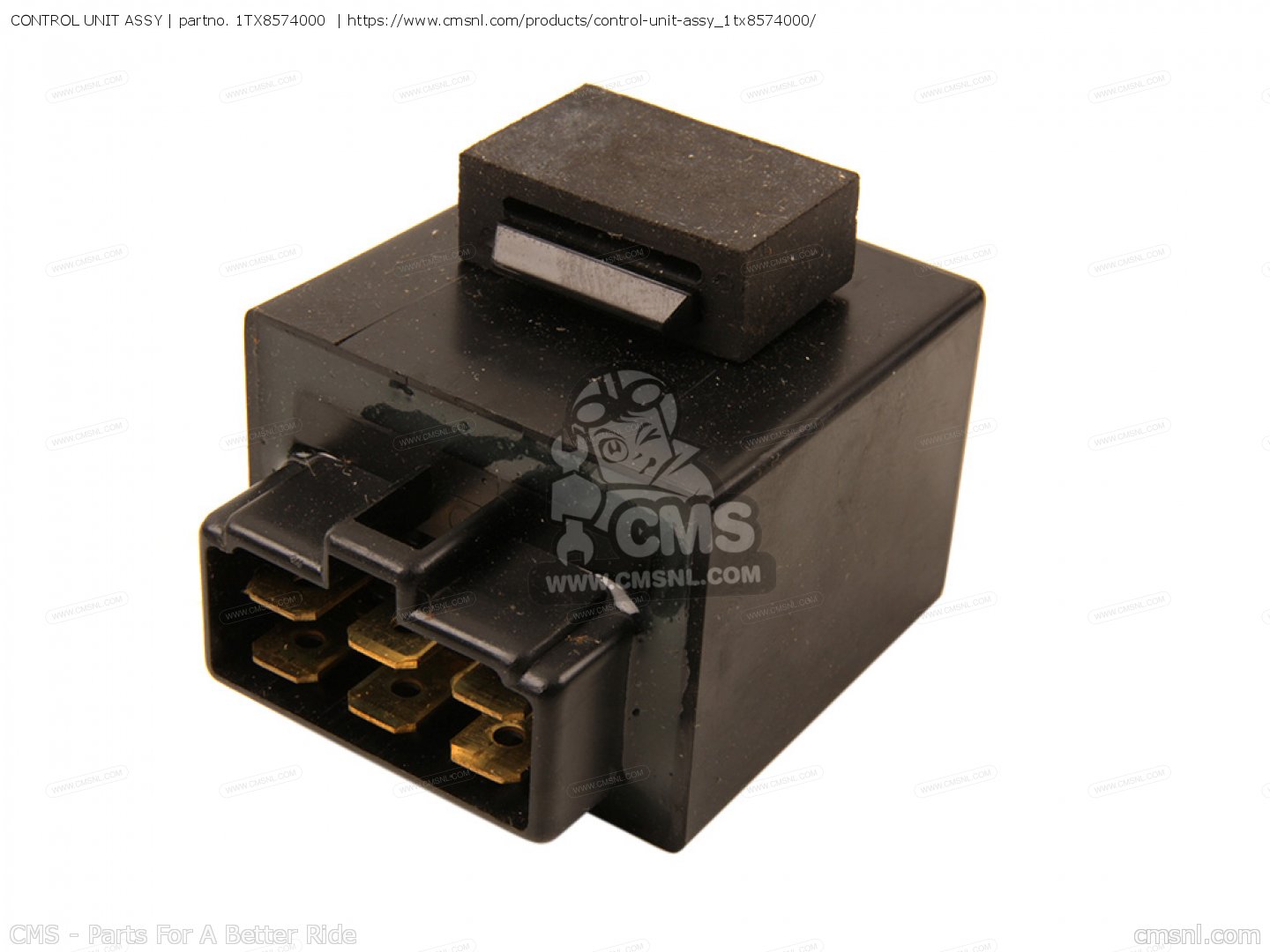 CONTROL UNIT ASSY for Yamaha - order at CMSNL