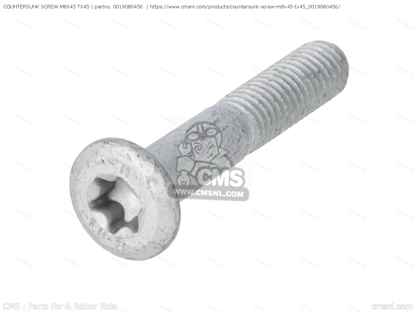COUNTERSUNK SCREW M8X45 TX45 for 1290 Super Adventure S, silver USA ...