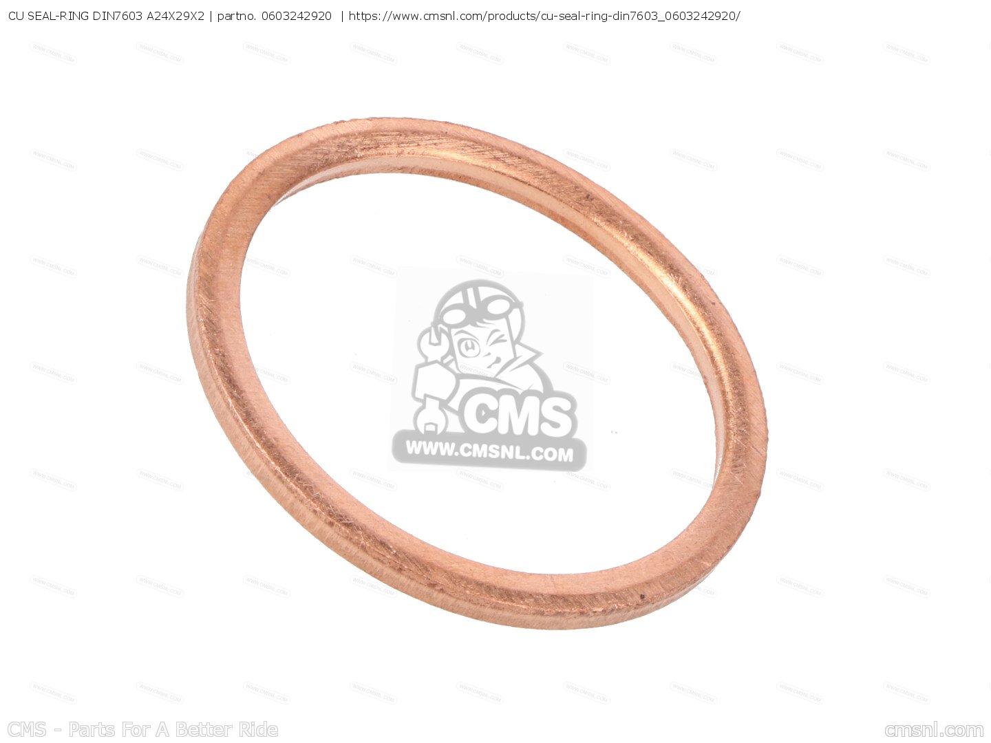 0603242920：CU SEAL-RING DIN7603 A24X29X2 KTM - CMSNLで0603242920を購入する。