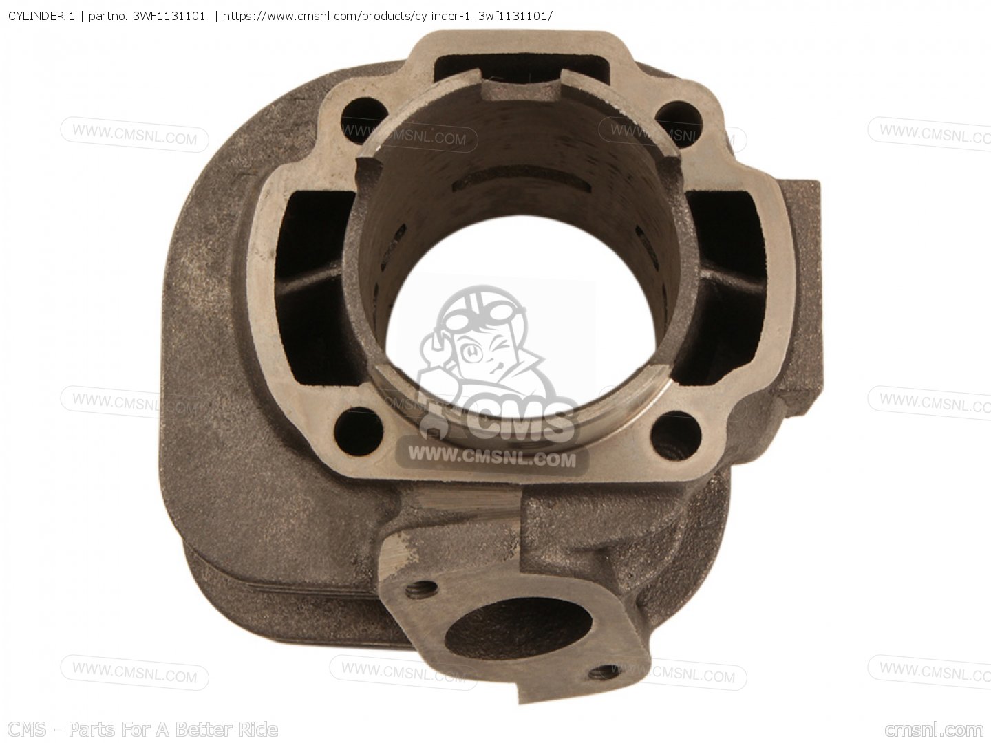 3WF1131101: CYLINDER 1 Yamaha - buy the 3WF-11311-01-00 at CMSNL