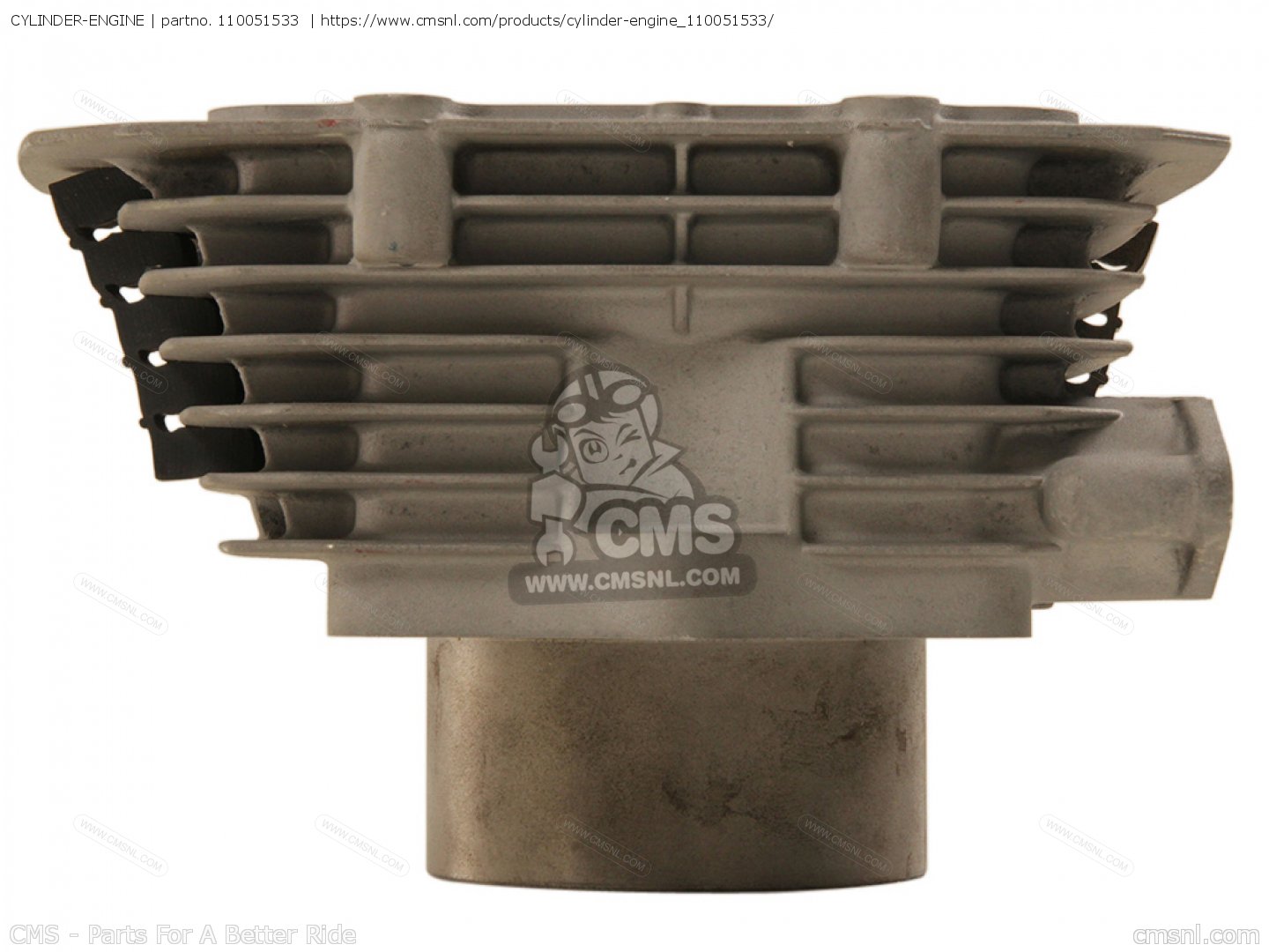 CYLINDER-ENGINE for KLF300-B8A BAYOU300 1995 EUROPE UK - order at CMSNL