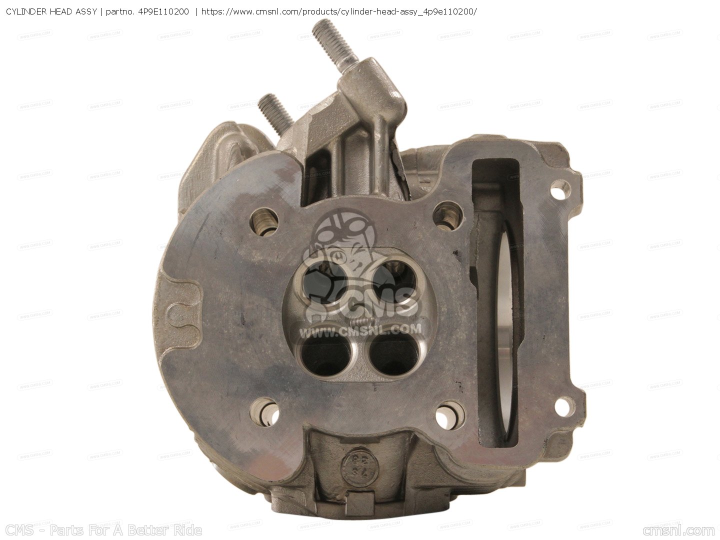 4P9E110200: CYLINDER HEAD ASSY Yamaha - buy the 4P9-E1102-00-00 at CMSNL