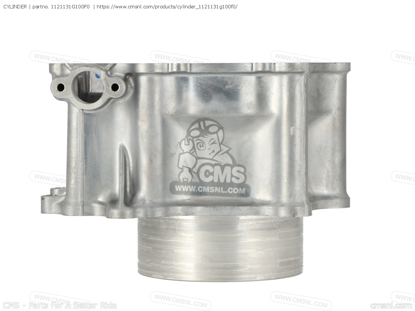 11211-31G10-0F0 Cylinder, 1121131G100F0 Suzuki - LT-A700X