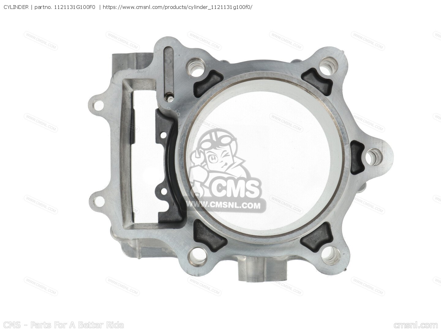 11211-31G10-0F0 Cylinder, 1121131G100F0 Suzuki - LT-A700X
