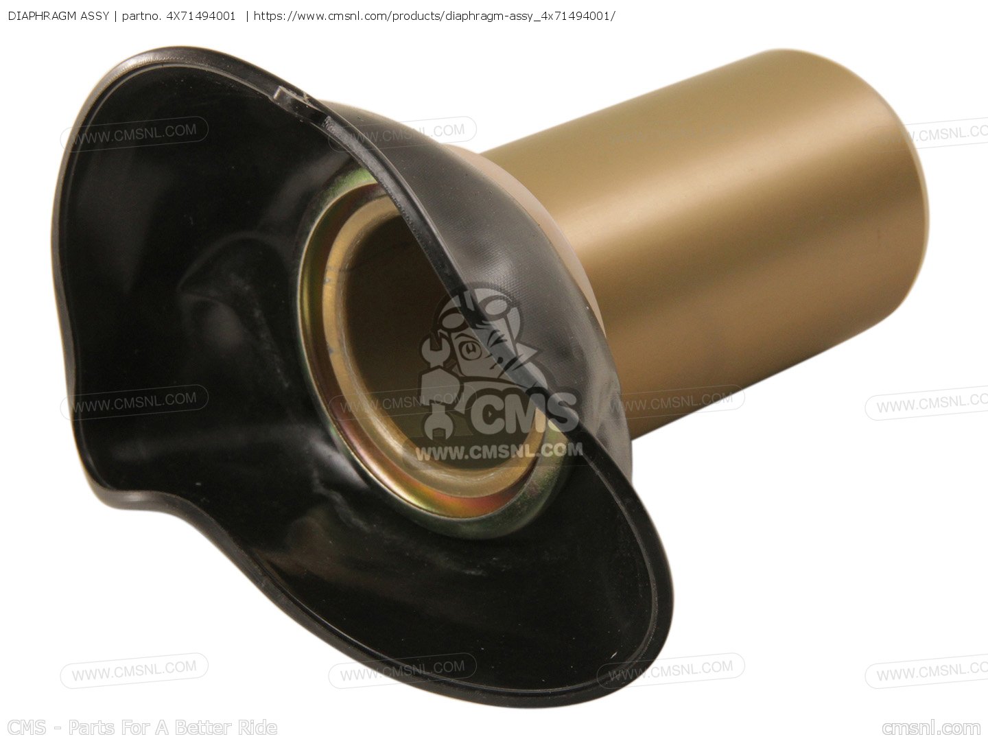 DIAPHRAGM ASSY for Yamaha - order at CMSNL