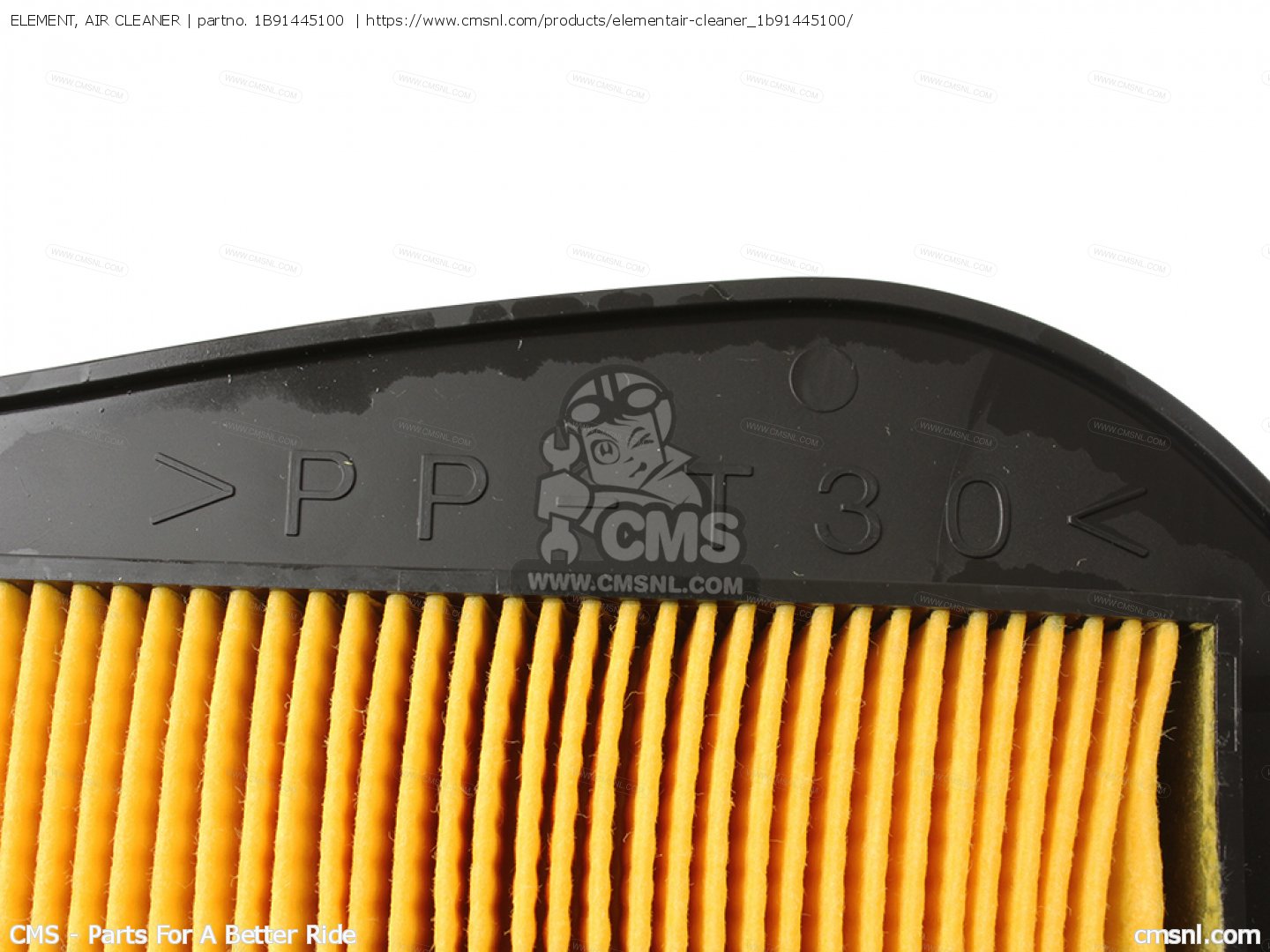 1B91445100: ELEMENT, AIR CLEANER Yamaha - buy the 1B9-14451-00-00 at CMSNL