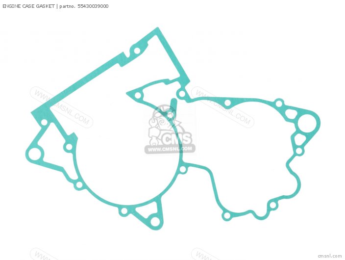 ENGINE CASE GASKET for 300 XC-W USA 2018 - order at CMSNL