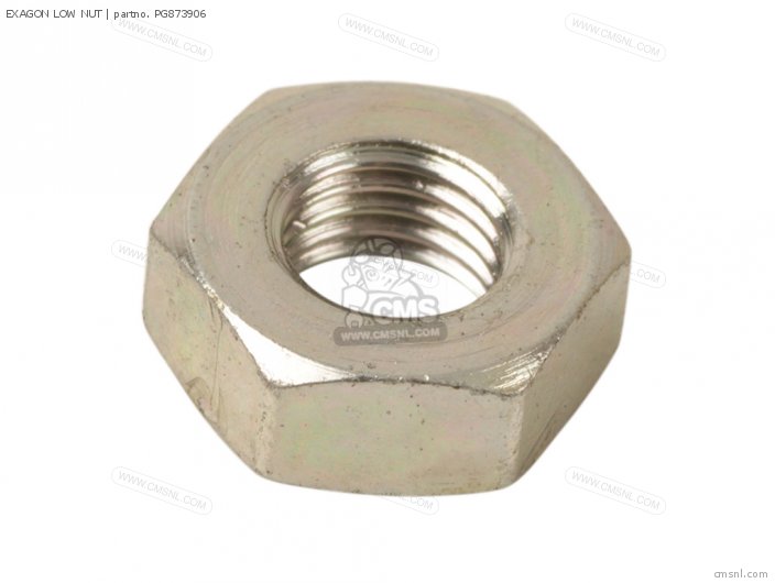 PG873906: EXAGON LOW NUT Piaggio Group - buy the PG873906 at CMSNL