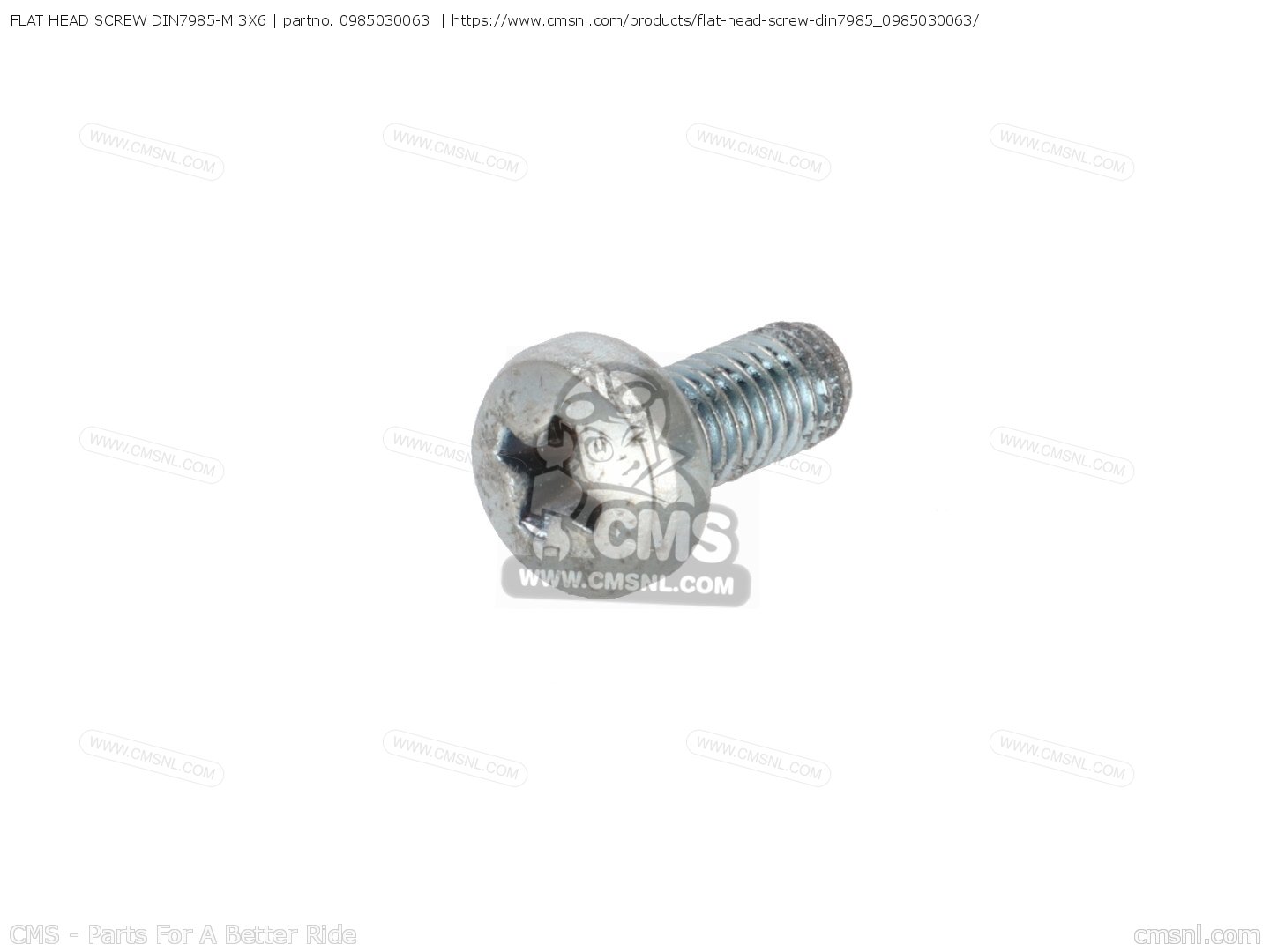 FLAT HEAD SCREW DIN7985-M 3X6 for KTM - order at CMSNL