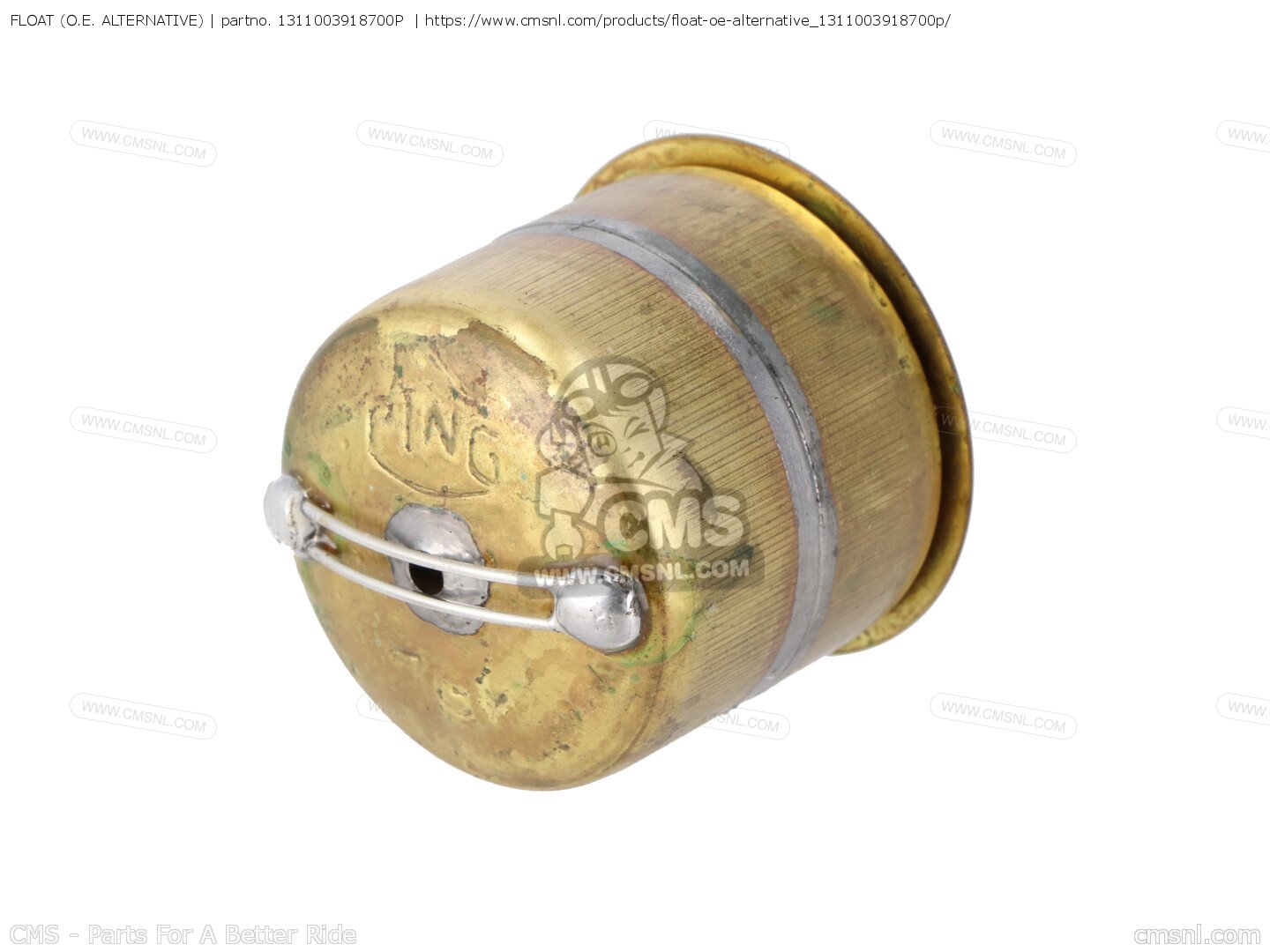 1311003918700P: Float (o.e. Alternative) Alternative Parts - buy the 13 ...