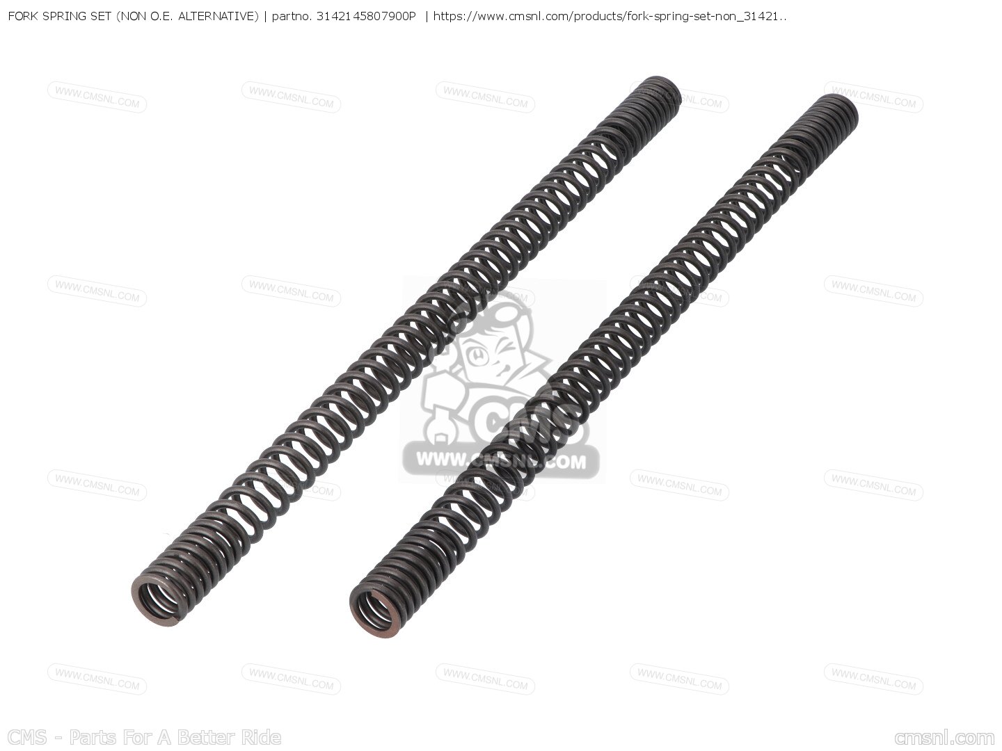 3142145807900P: FORK SPRING SET (NON O.E. ALTERNATIVE) Alternative ...