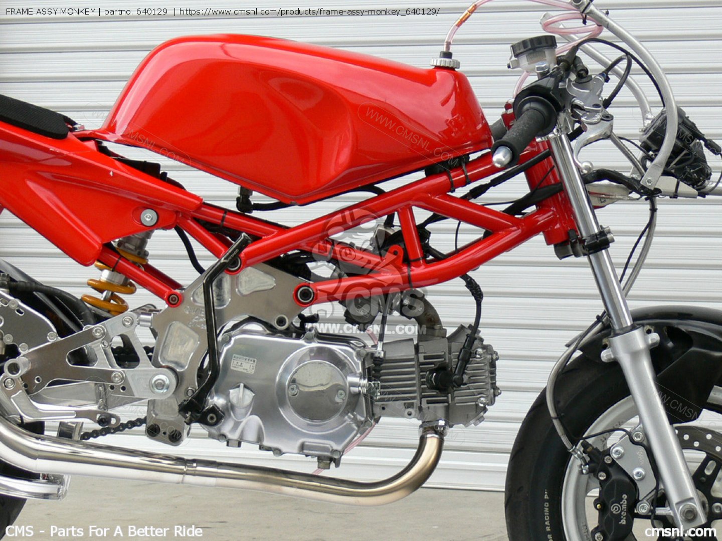 640129: FRAME ASSY MONKEY Over Racing - buy the 64-01-29 at CMSNL