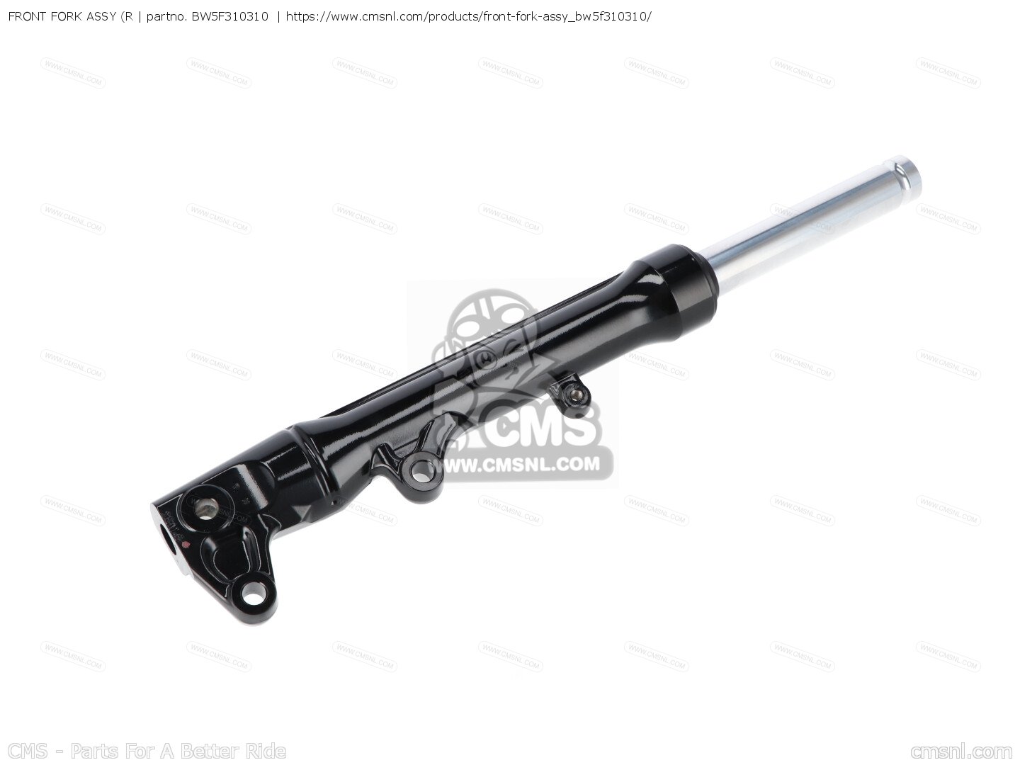 BW5F310310: FRONT FORK ASSY (R Yamaha - buy the BW5-F3103-10-00 at CMSNL