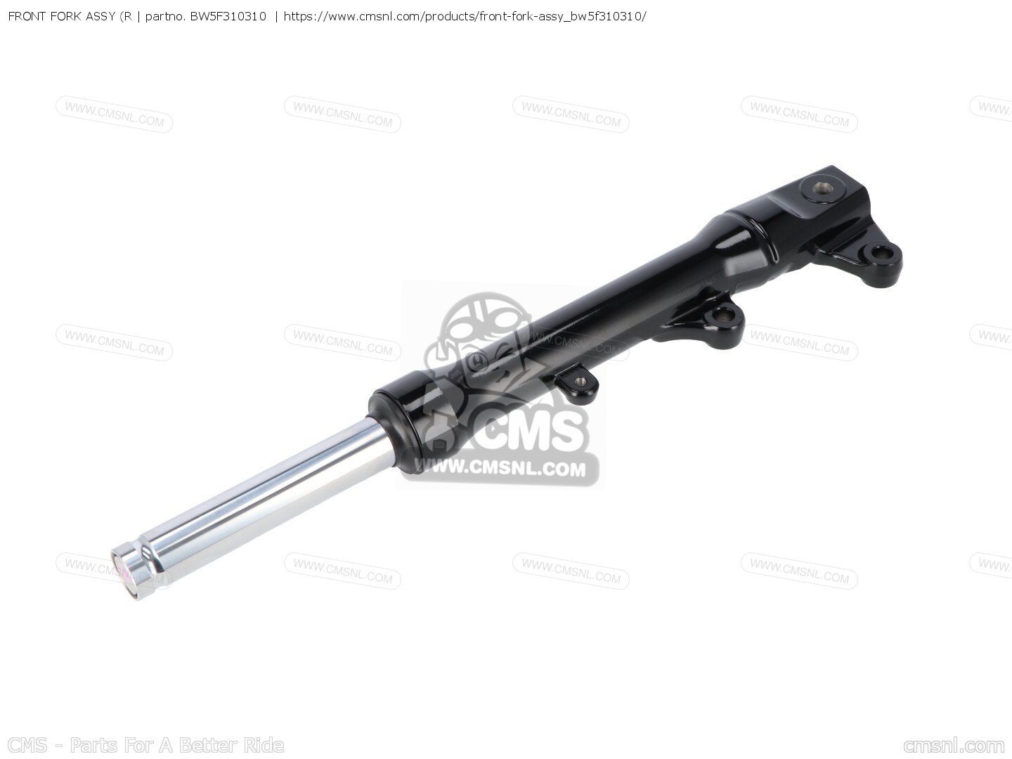 BW5F310310: FRONT FORK ASSY (R Yamaha - buy the BW5-F3103-10-00 at CMSNL