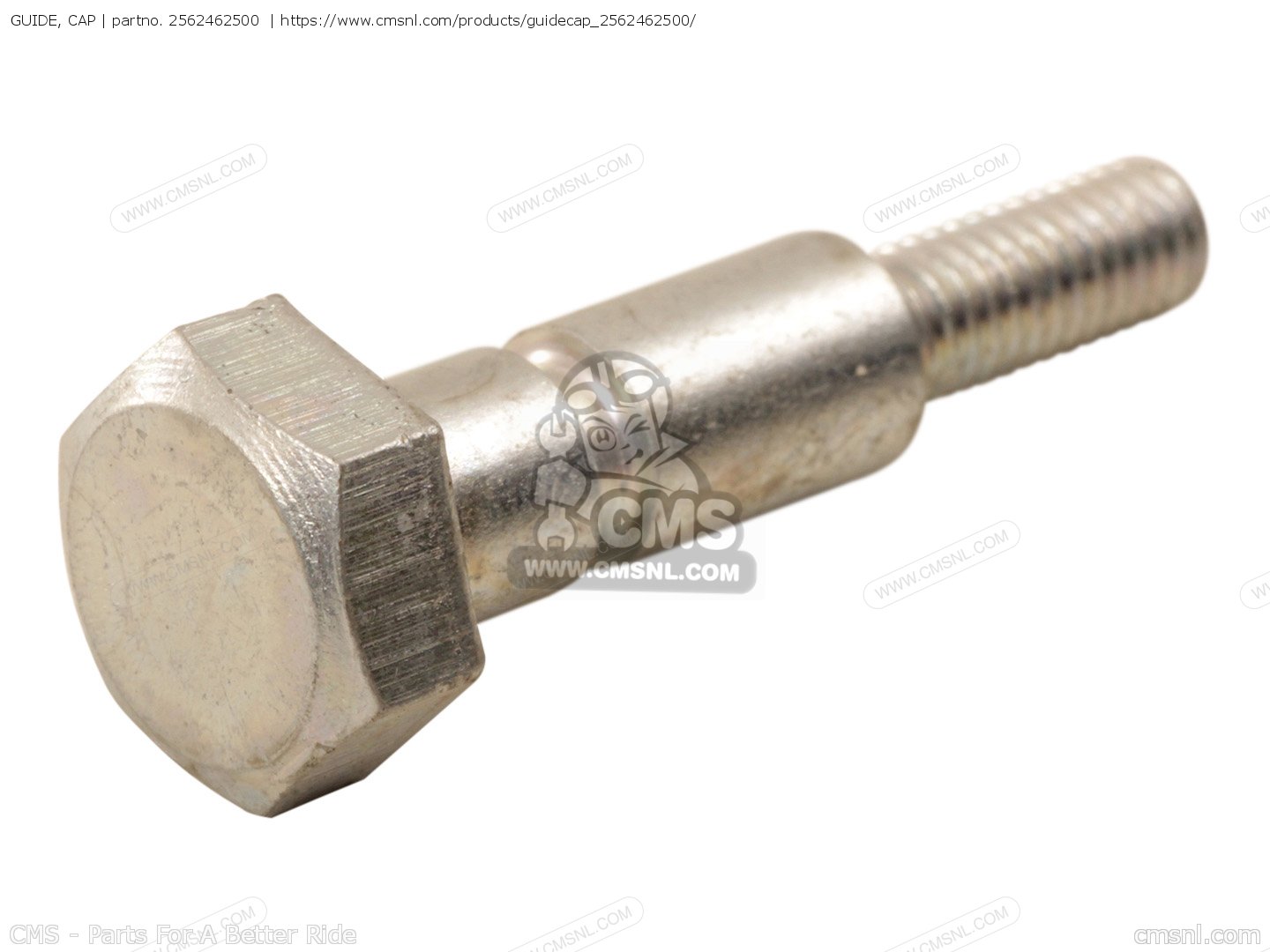 2562462500: Guide, Cap Yamaha - buy the 256-24625-00 at CMSNL